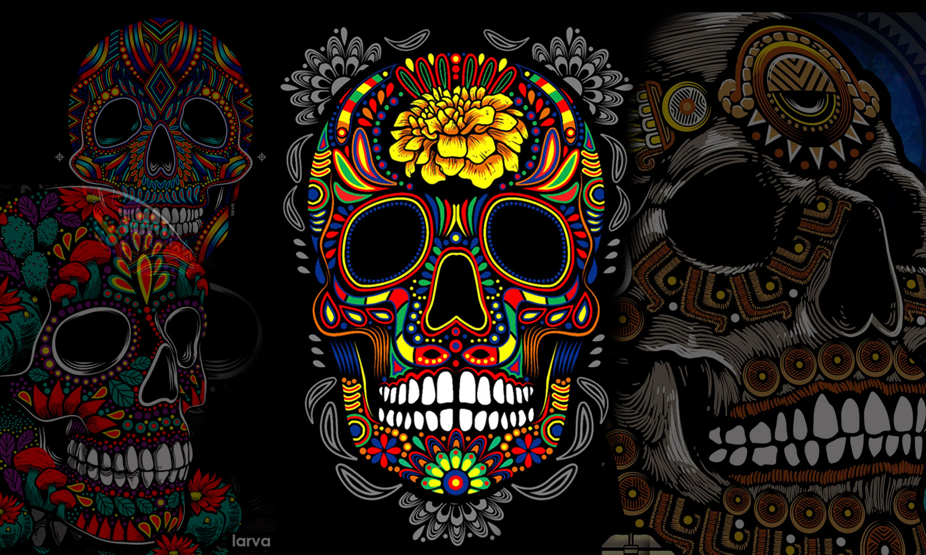 Tienda de playeras para hombre y mujer, moda urbana – Larva MX